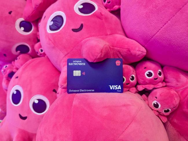 Octopus Electroverse and Visa launch payments card | GREENFLEET